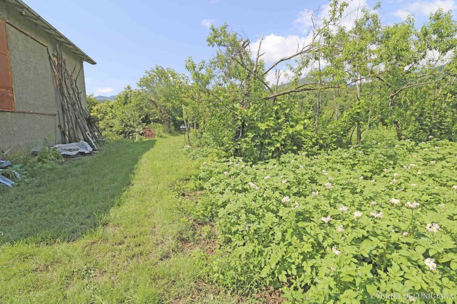 204c (3) ~ Terra di Lunigiana - Agenzia Immobiliare